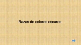 Razas de cerdos domésticos | PPTX