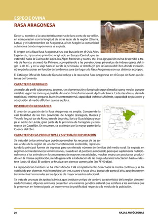 Razas de ganado del catalogo oficial de españa | PDF
