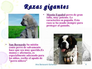 Razas de perros | PPT