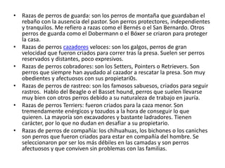 Razas de perros | PPTX