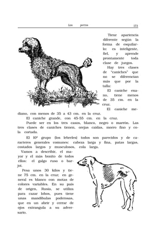 Razas de perros pdf | PDF