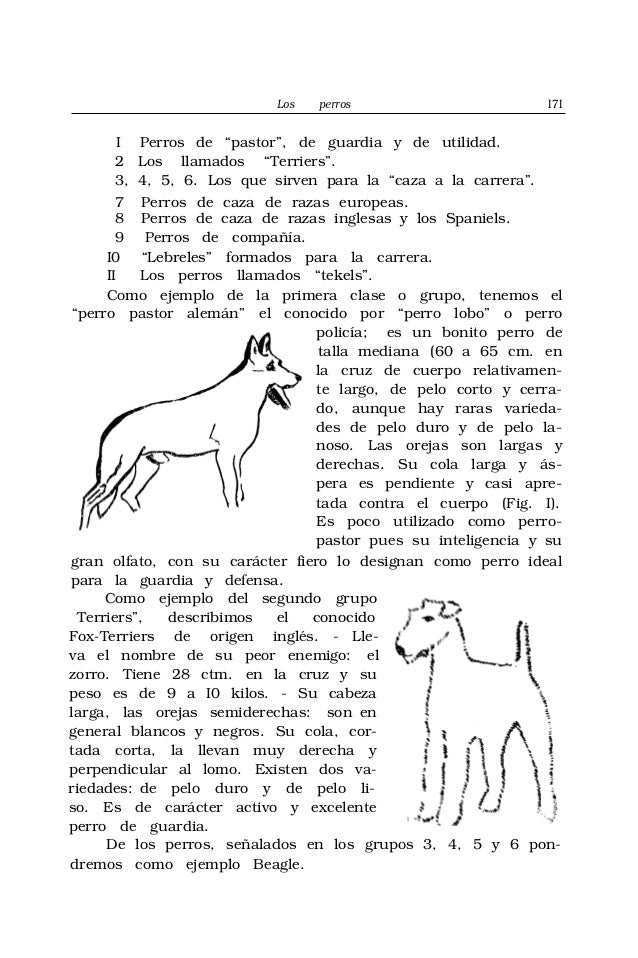 Razas de perros pdf