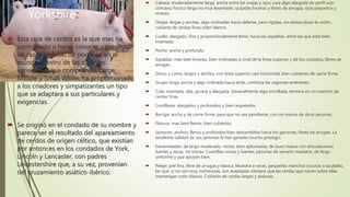 Teoria y Razas de porcinos. | PPTX