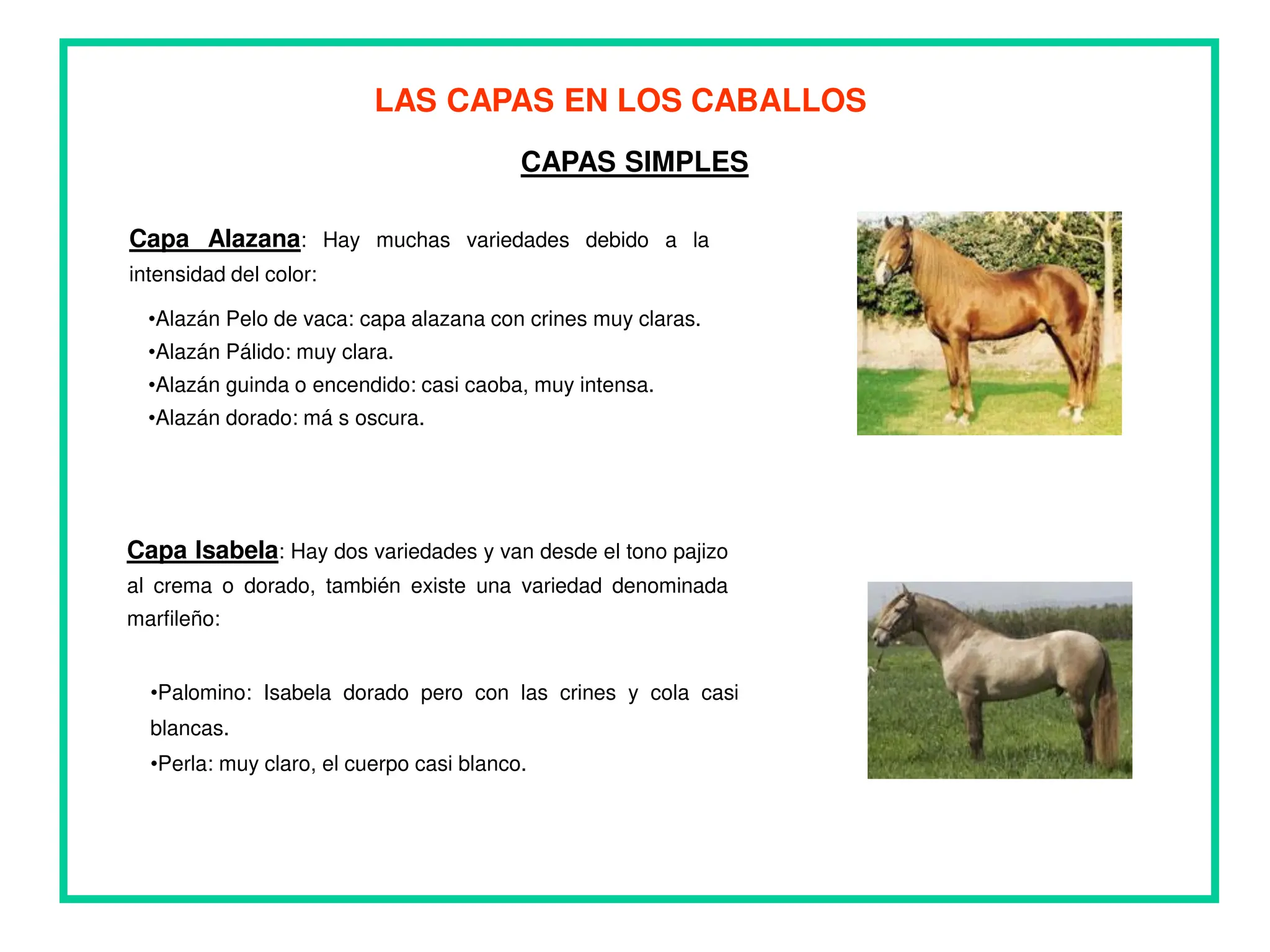razas_manejo_y_cuidados_del_caballo-1.pdf