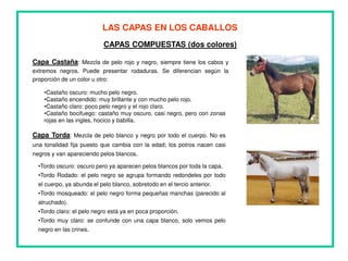 razas_manejo_y_cuidados_del_caballo-1.pdf