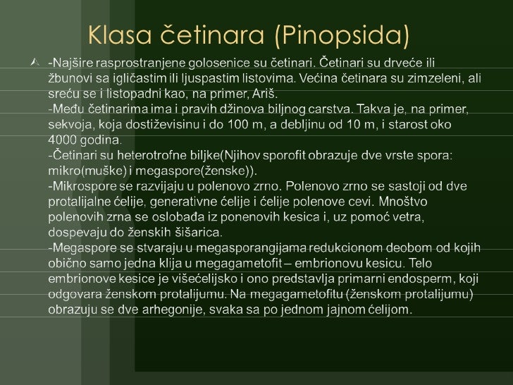 Biologija- Golosemenice- Marko Petrović- Milan Ilić