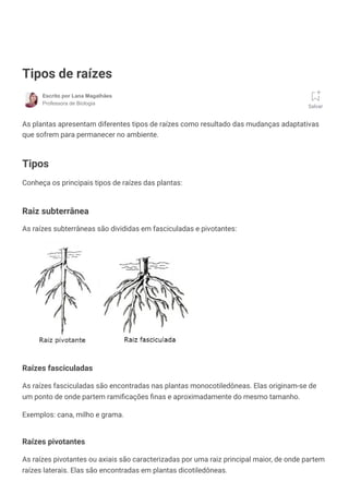 Raízes_ funções, partes e tipos - Toda Matéria.pdf