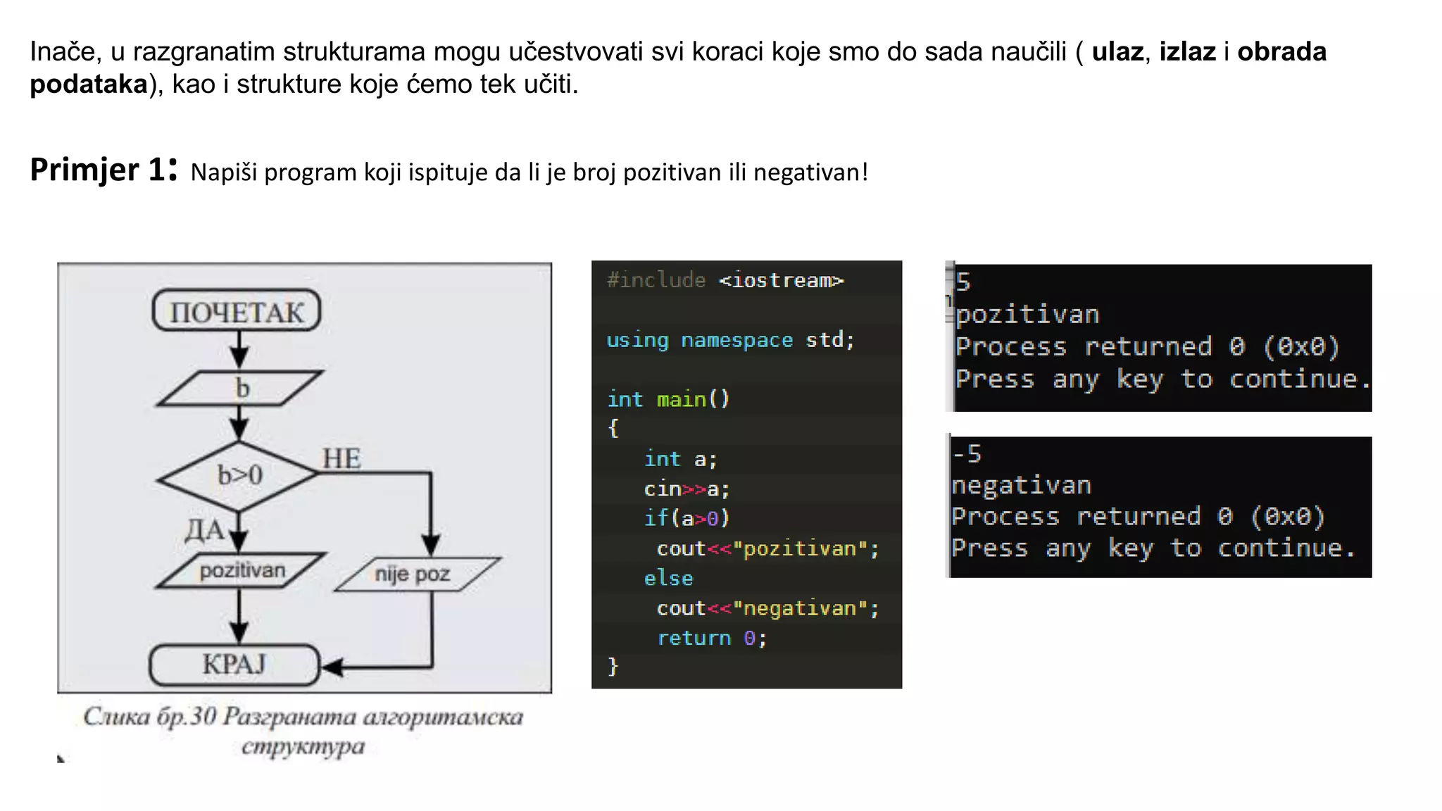 Razgranate strukture | PPTX