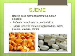 Razlike u građi jednosupnica i dvosupnica | PPTX