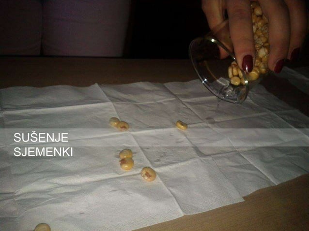 Razlike u građi jednosupnica i dvosupnica | PPTX