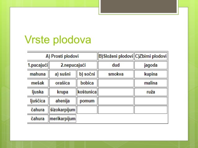 Razlike u građi jednosupnica i dvosupnica | PPTX
