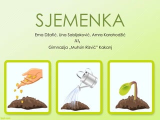 Sjemenka jednosupnica i dvosupnica | PPTX