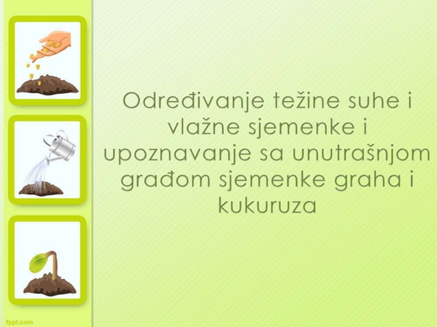 Sjemenka jednosupnica i dvosupnica | PPT