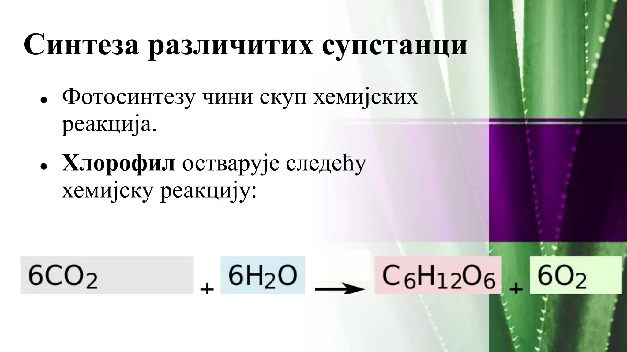 Razmena supstanci kod biljaka.ppt