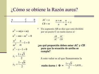 Razón_Aurea | PPT