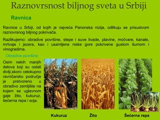 Raznovrsnost biljnog sveta Srbije | PPT
