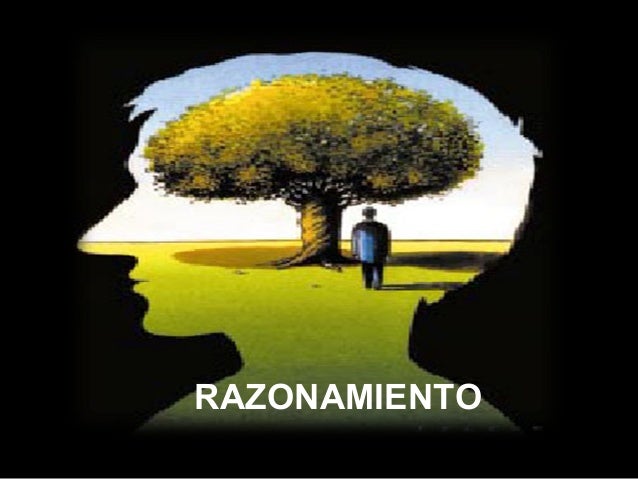 Razonamiento