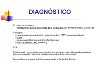 (2014-05-27) Brucelosis (ppt) | PPT