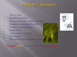 Razovrsnost dupljara | PPTX