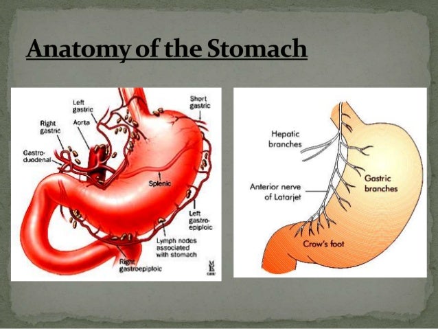 Ca Stomach