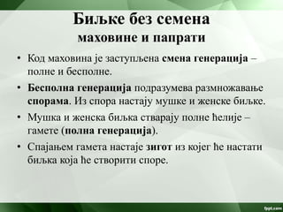 Razvice biljke bez semena.ppt