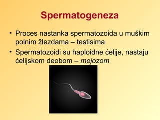 BIOLOGIJA | PPS