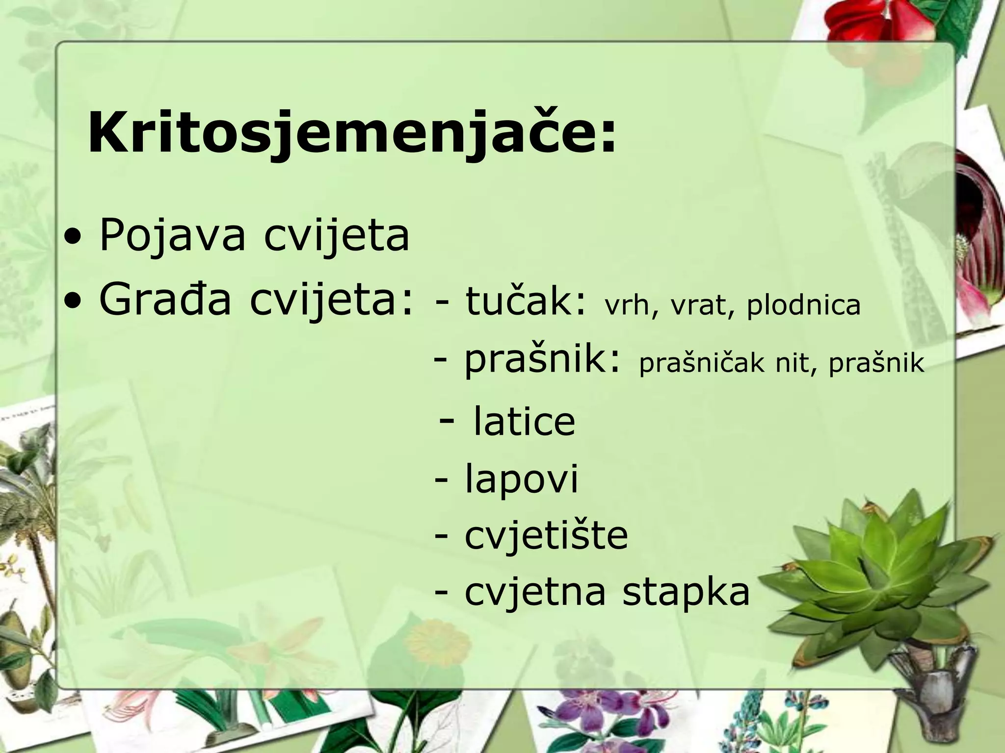 Razvoj biljaka | PPTX