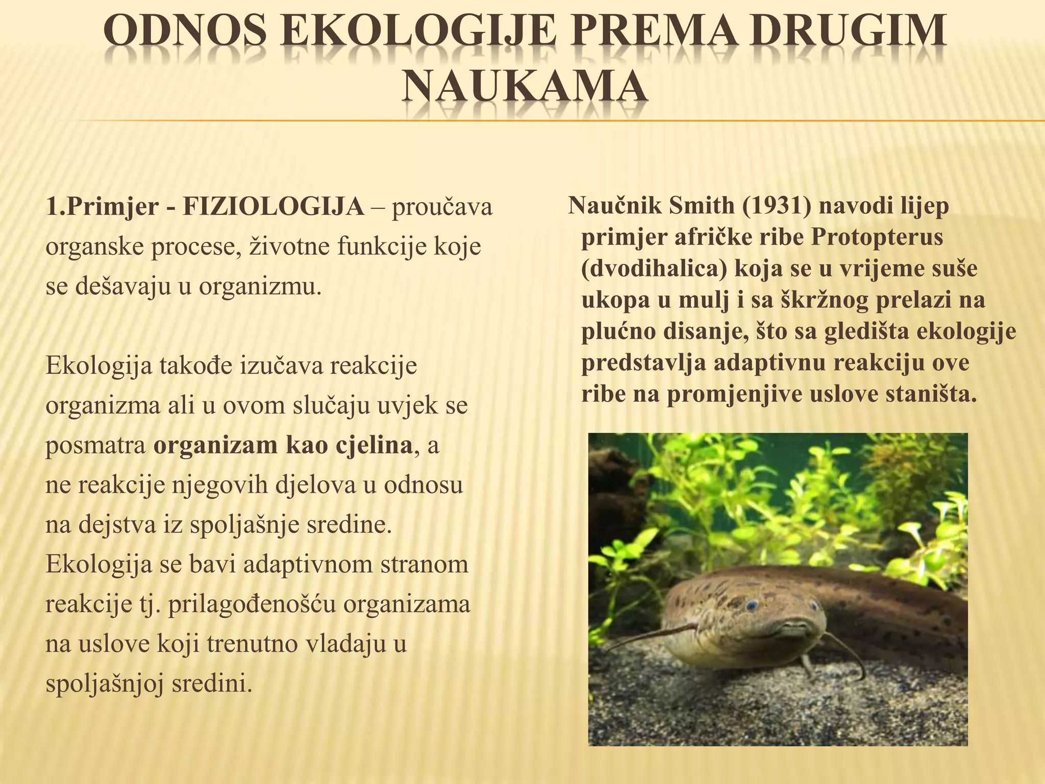 Razvoj ekologije | PPTX