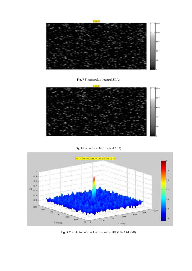 Sub-windowed laser speckle image velocimetry by fast fourier transform technique | PDF | 3-D ...