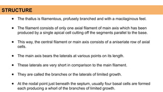 BATRACHOSPERMUM (RED ALGAE) general microbiology and microbial ...
