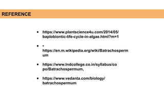 BATRACHOSPERMUM (RED ALGAE) general microbiology and microbial ...