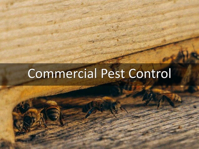 Rbb environmental presentation | PPTX