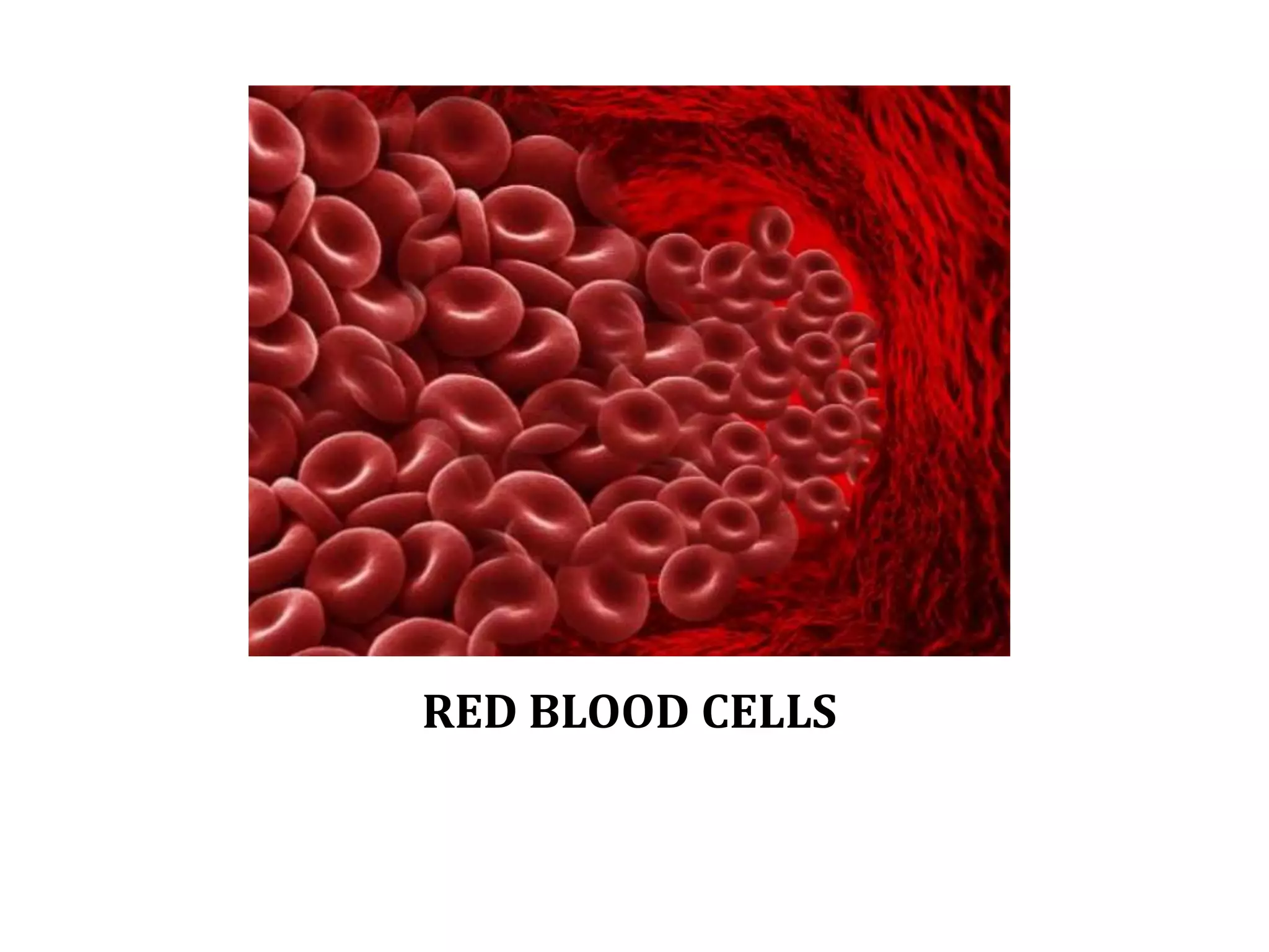 Rbc | PPTX | Blood Disorders | Diseases and Conditions
