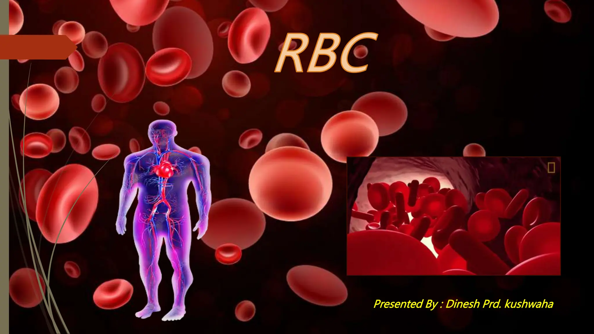 RBC.pptx RBC ppt RBC ppt rbc rbc rbc rbc rbc rbc rbc | PPT