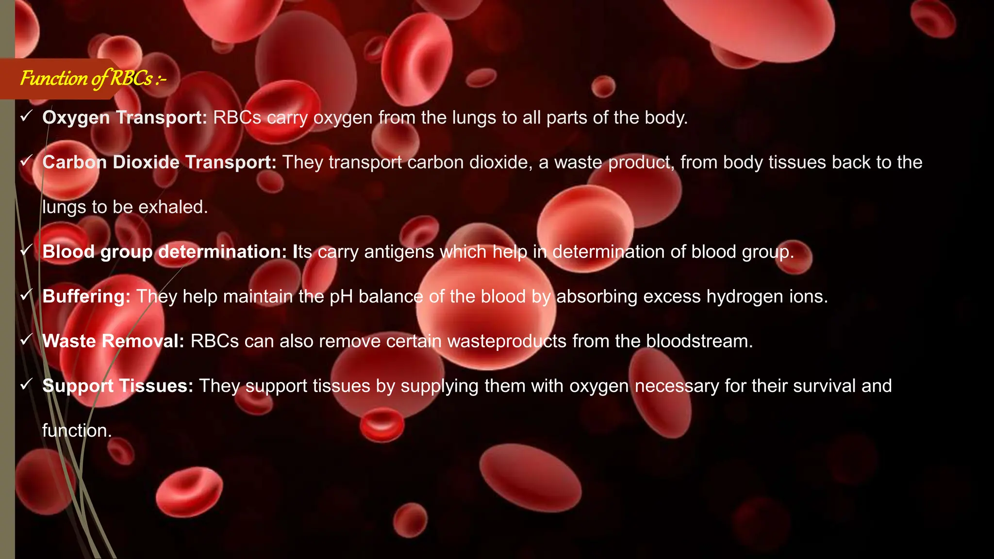 RBC.pptx RBC ppt RBC ppt rbc rbc rbc rbc rbc rbc rbc | PPT