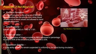 RBC.pptx RBC ppt RBC ppt rbc rbc rbc rbc rbc rbc rbc | PPT