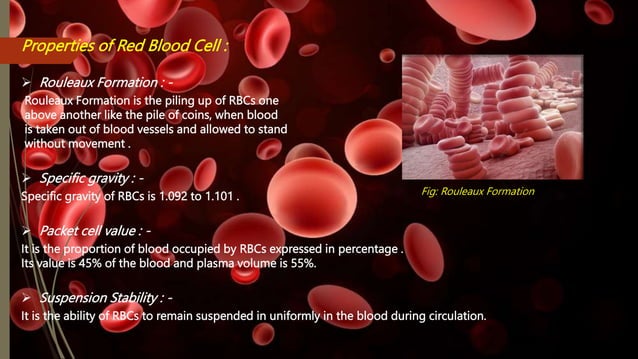 RBC.pptx RBC ppt RBC ppt rbc rbc rbc rbc rbc rbc rbc | PPT