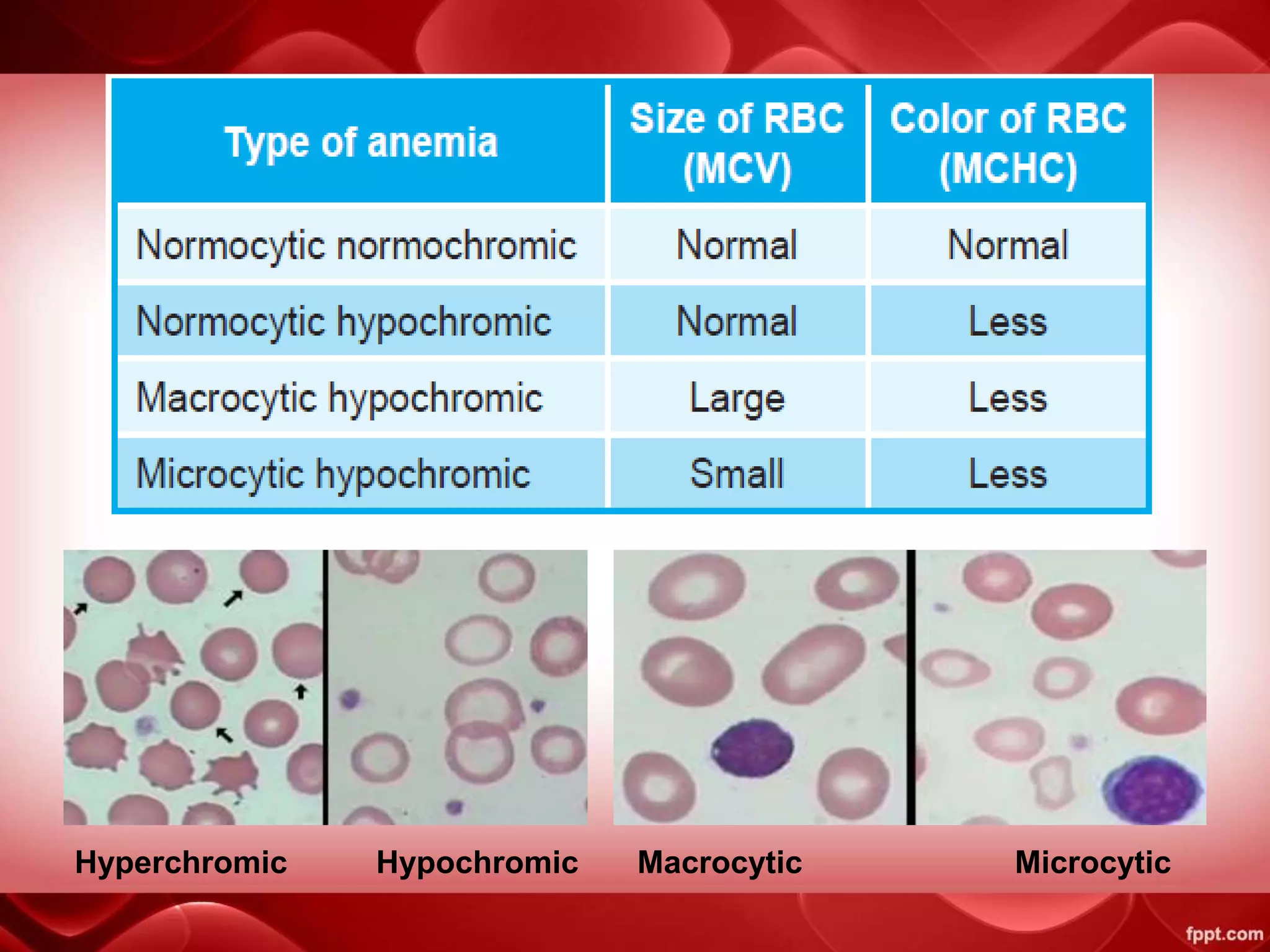 RBC | PPTX | Blood Disorders | Diseases and Conditions