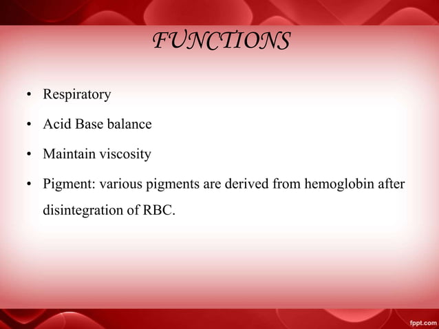 RBC | PPTX | Blood Disorders | Diseases and Conditions