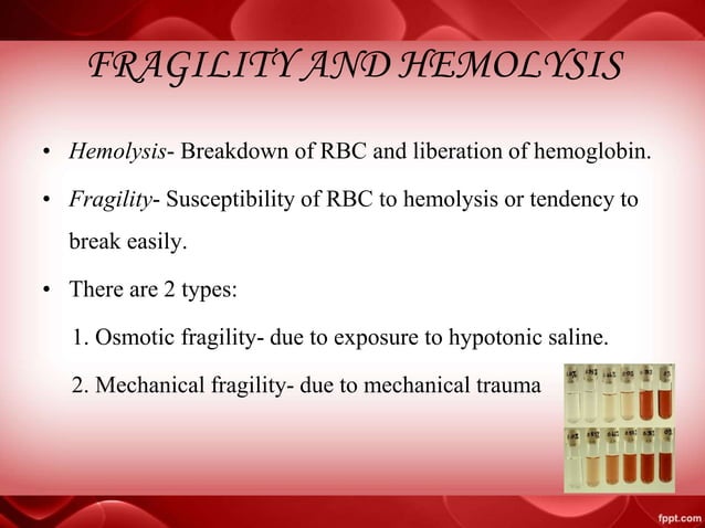 RBC | PPTX | Blood Disorders | Diseases and Conditions
