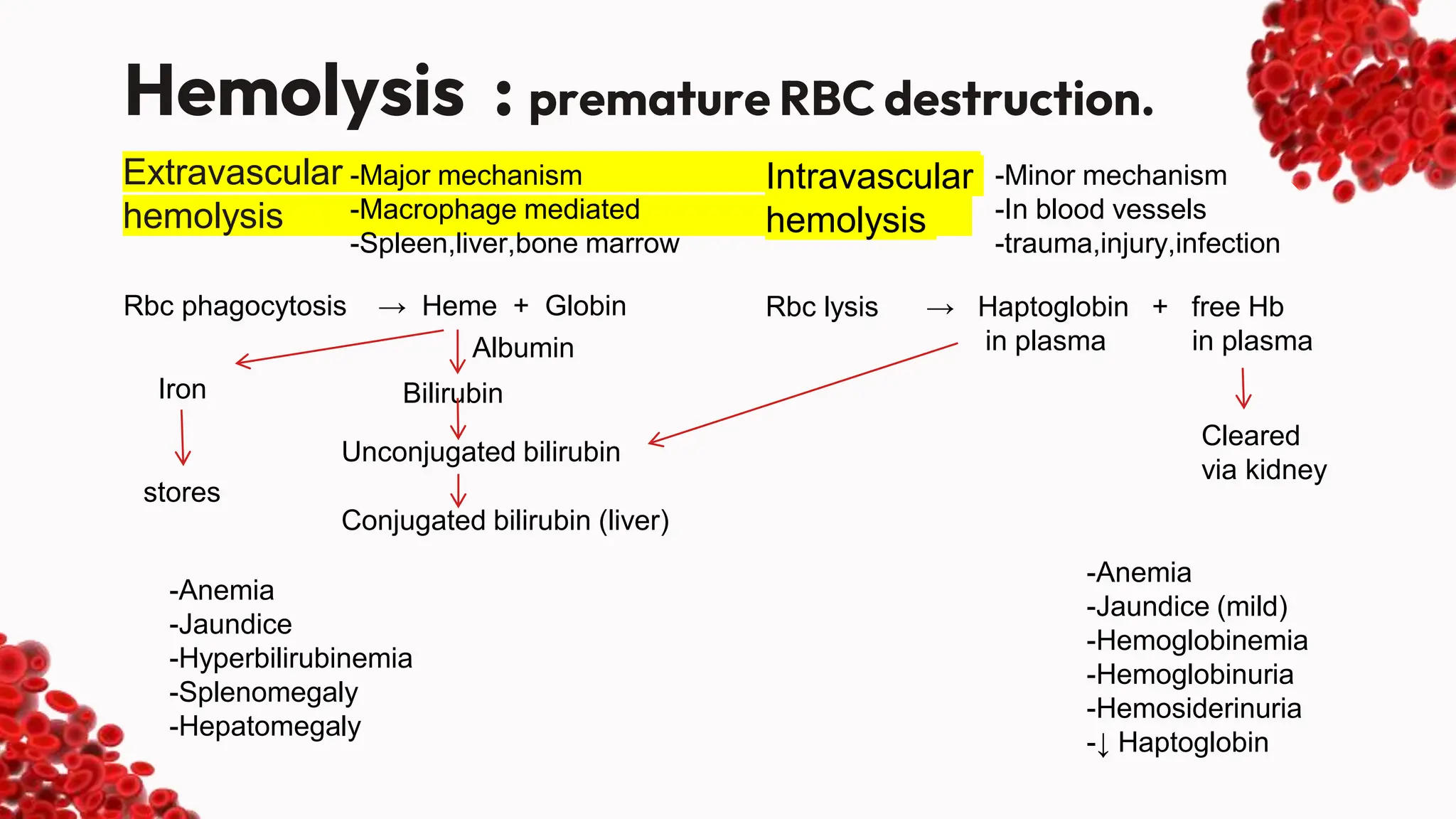 RBC - Anemia.pptx RBC, Anemia, Hemolysis - Extravascular hemolysis ...