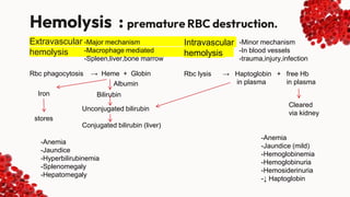 RBC - Anemia.pptx RBC, Anemia, Hemolysis - Extravascular hemolysis ...