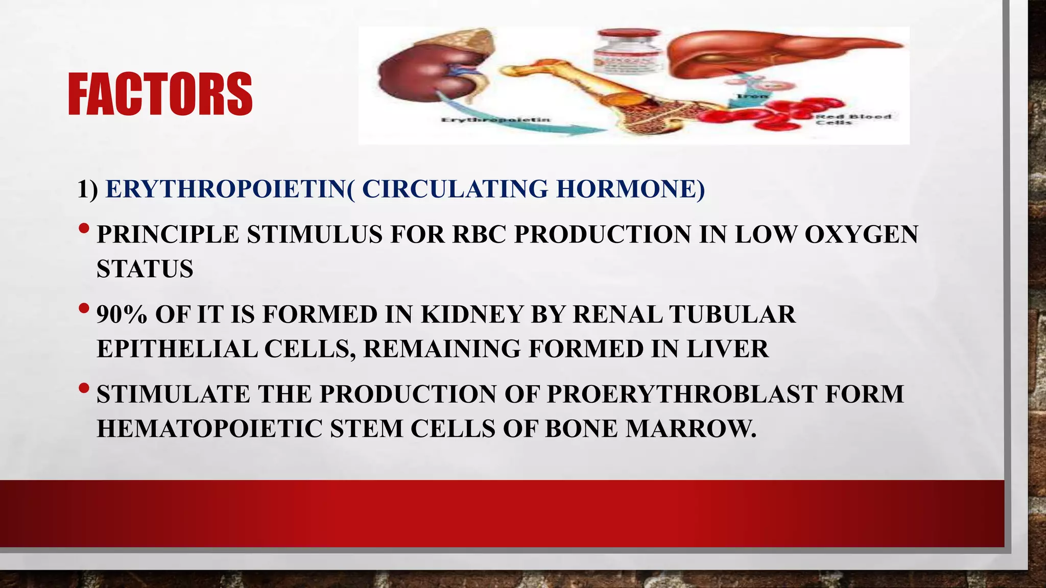 RED BLOOD CORPOSULES(RBC) | PPT