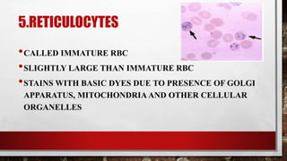 RED BLOOD CORPOSULES(RBC) | PPT