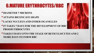 RED BLOOD CORPOSULES(RBC) | PPT
