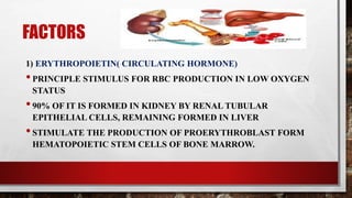 RED BLOOD CORPOSULES(RBC) | PPT