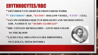 RED BLOOD CORPOSULES(RBC) | PPT