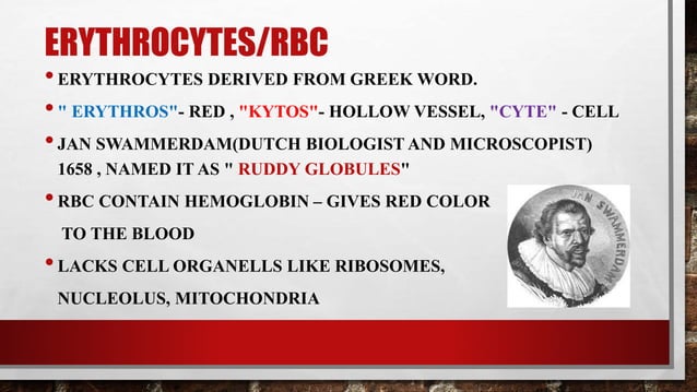 RED BLOOD CORPOSULES(RBC) | PPT