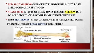 RED BLOOD CORPOSULES(RBC) | PPT