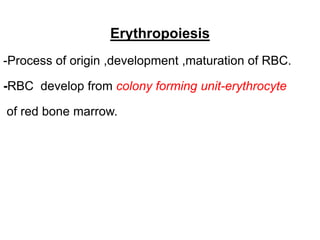 Erythropoiesis | PPT